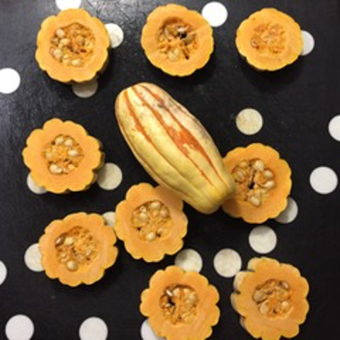 Roasted Delicata - The Organic Teaching Kitchen
